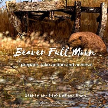 Beaver Moon (November Full Moon) - Anita D Marshall