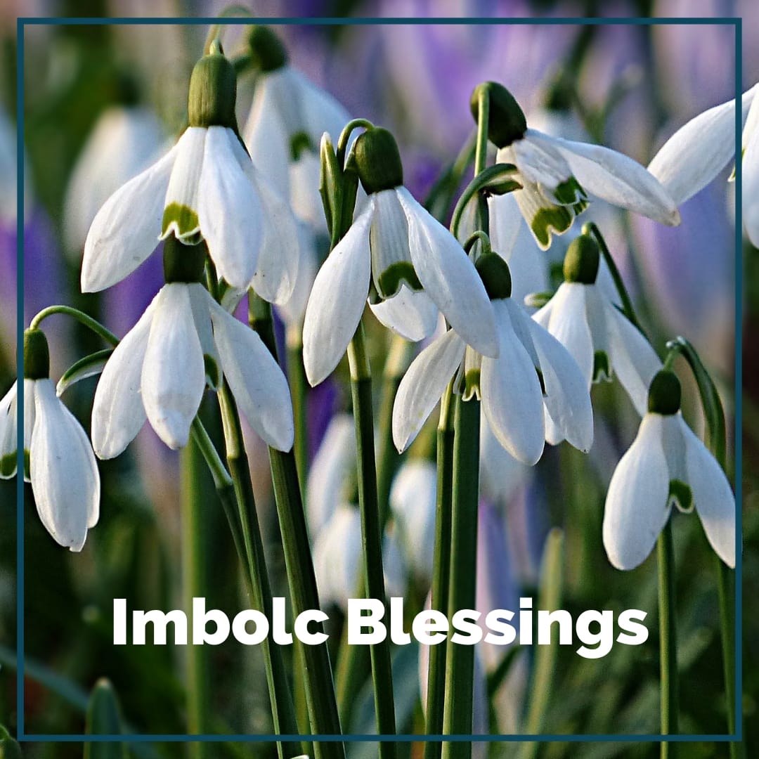 Celebrating the energies of Imbolc - Anita D Marshall